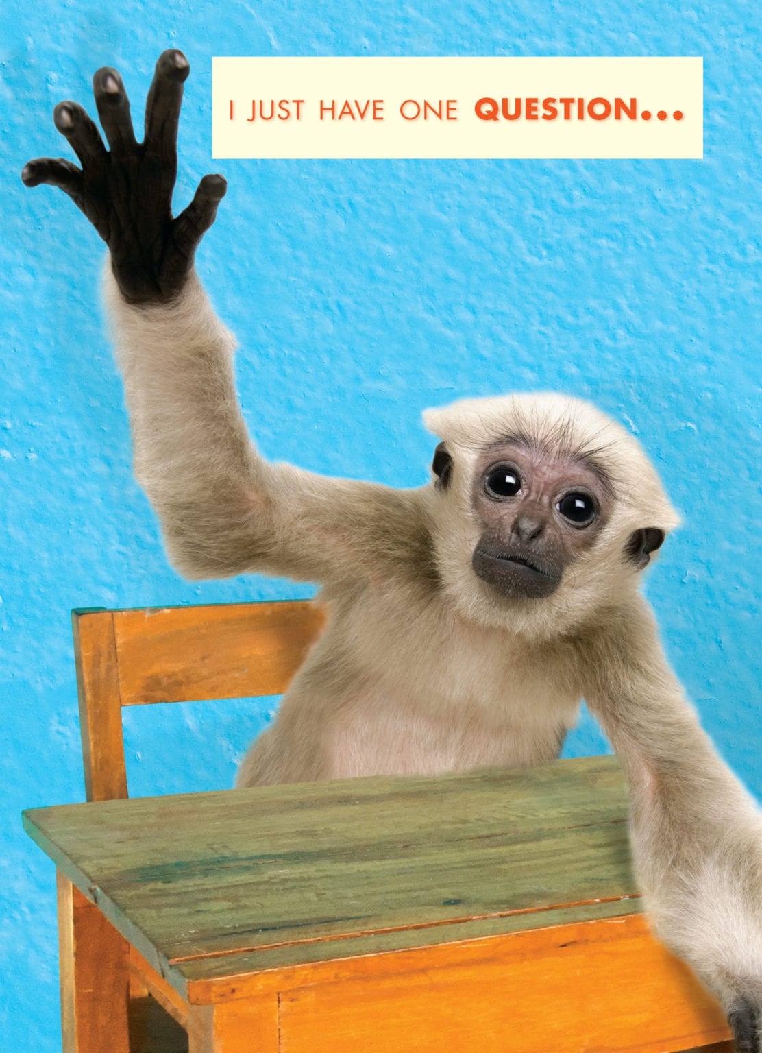 Monkey Question - Personalized Greeting Cards by TheGreetingCardShop.com